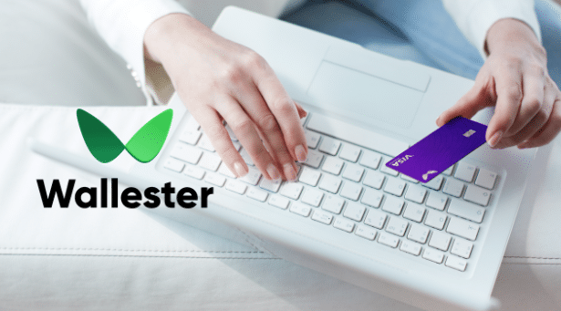 An Easy Business With Walester: All About Wallester Credit Card ...