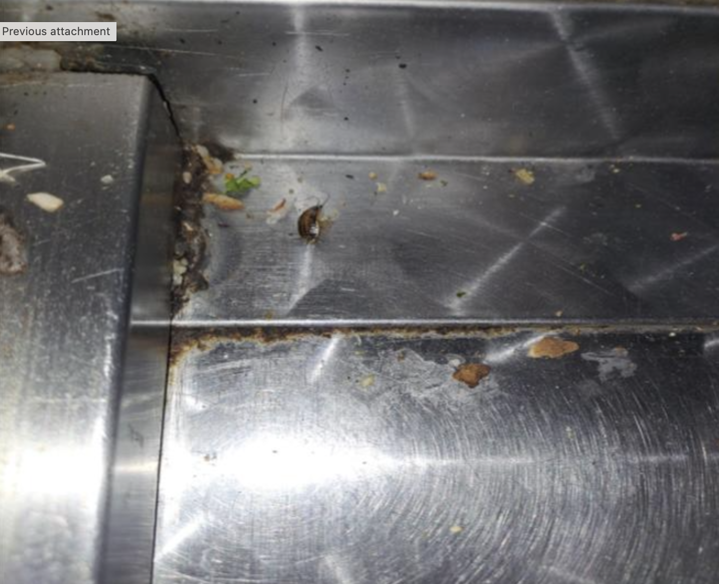 Cockroaches On The Counter Land Takeaway A Huge Fine | Business Manchester
